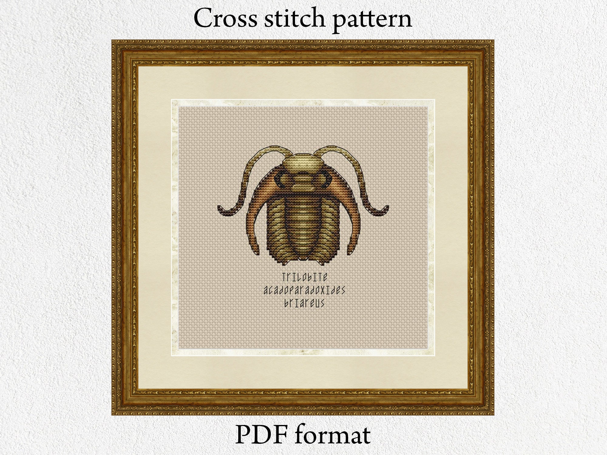 Trilobite Fossil Cross Stitch Pattern, Paleontology Decor (PDF Pattern ...