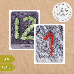 Nature Number Cards 0-20 | Outdoor Education, Forest School Activity ...