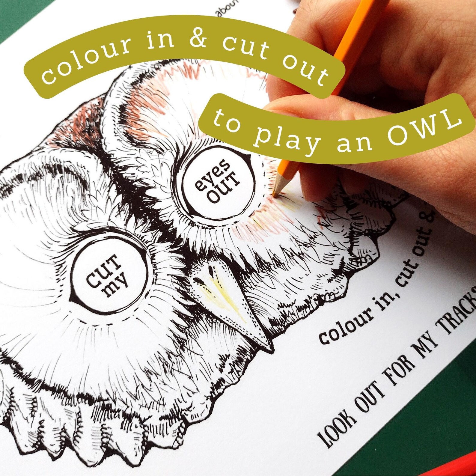 Tawny Owl Mask: Printable Papercraft DIY Activity for Kids (PDF) - Etsy