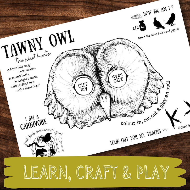 Tawny Owl DIY Mask | Printable Papercraft Owl Mask, Woodland Animal ...