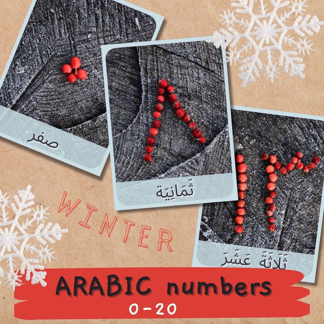 Learn Arabic Numbers 0-20 Flash Cards | Montessori Math Activity ...