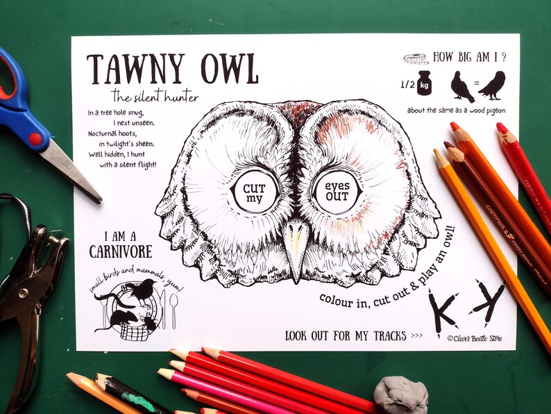 Tawny Owl Mask: Printable Papercraft DIY Activity for Kids (PDF) - Etsy