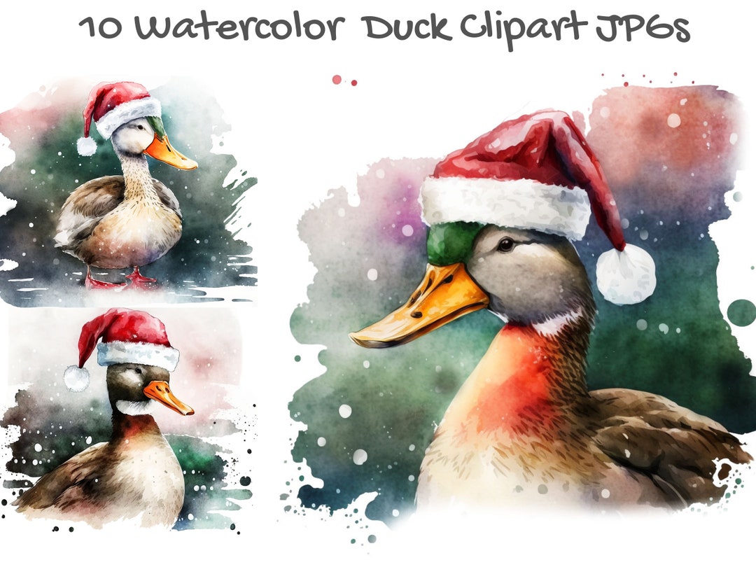 10 Watercolor Duck Clipart, High Quality Jpgs, Watercolor Clipart ...