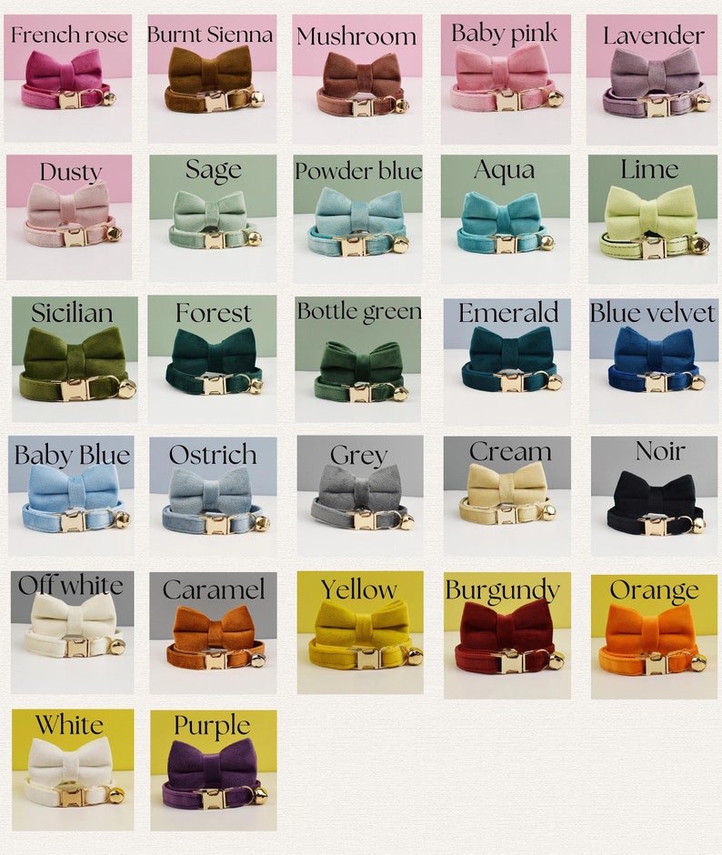 Personalized Velvet Cat Collar Bowtie Leash Set, Engraved Pet Name Tag ...