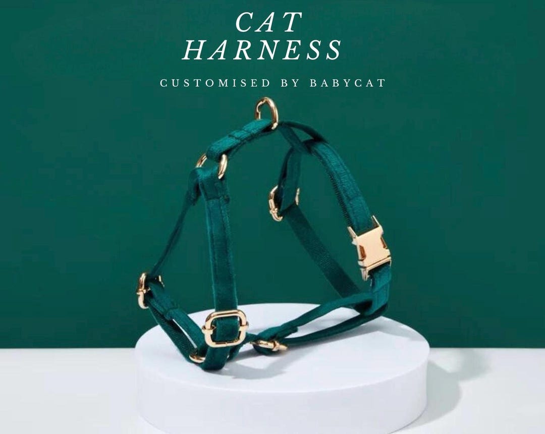 Velvet Cat Harness: Personalized Breakaway Kitten Collar Leash Set - Etsy