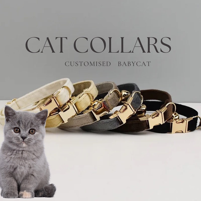 Gold Cat Collar - Etsy