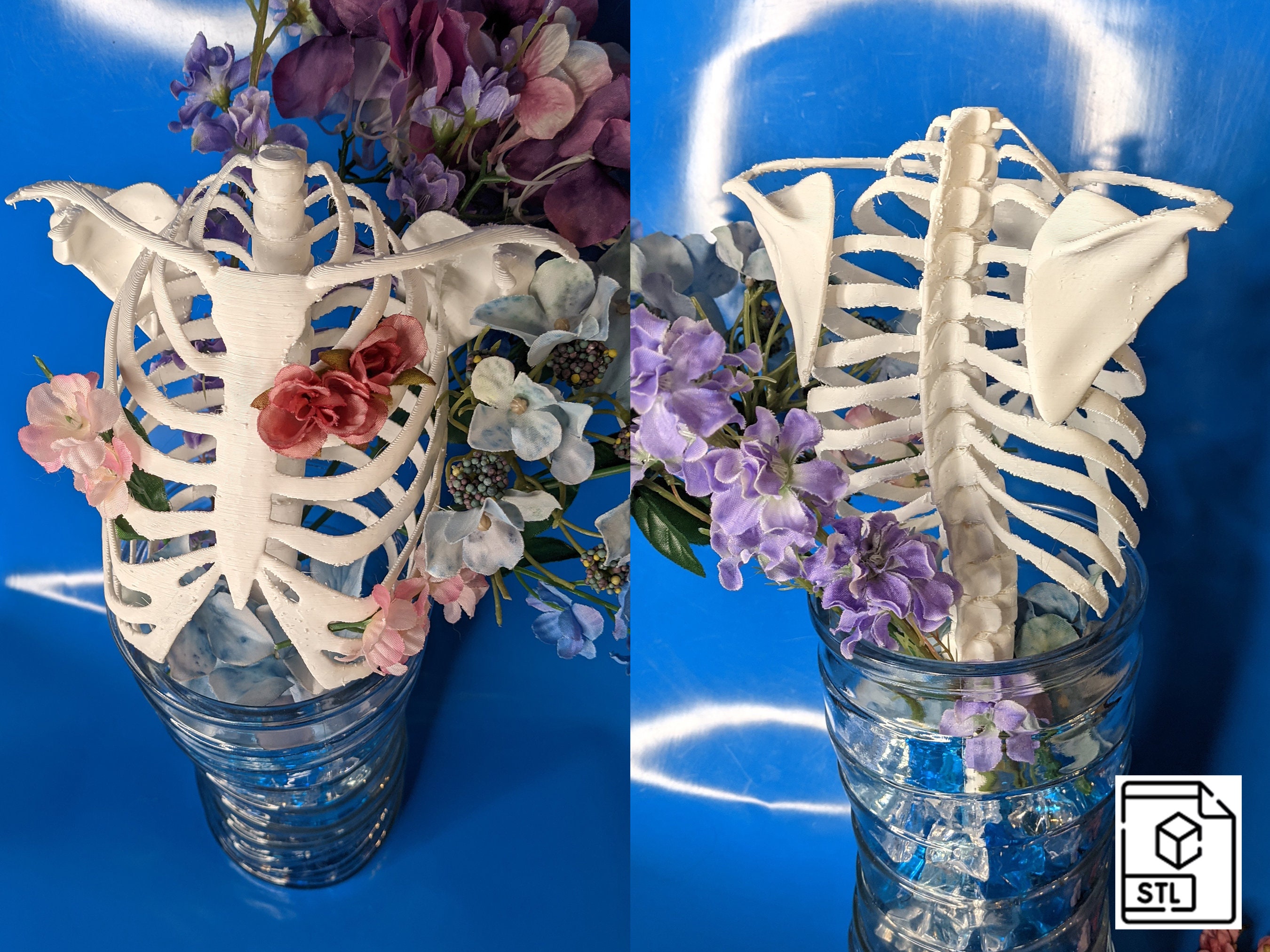 STL - Ribcage Trellis W/ Shoulder Blades - Etsy