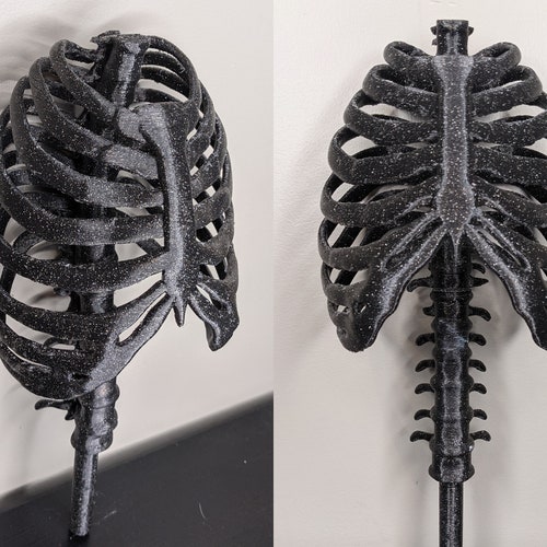 STL Ribcage Trellis - Etsy