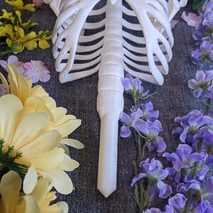 Ribcage Trellis W/ Shoulder Blades - Etsy