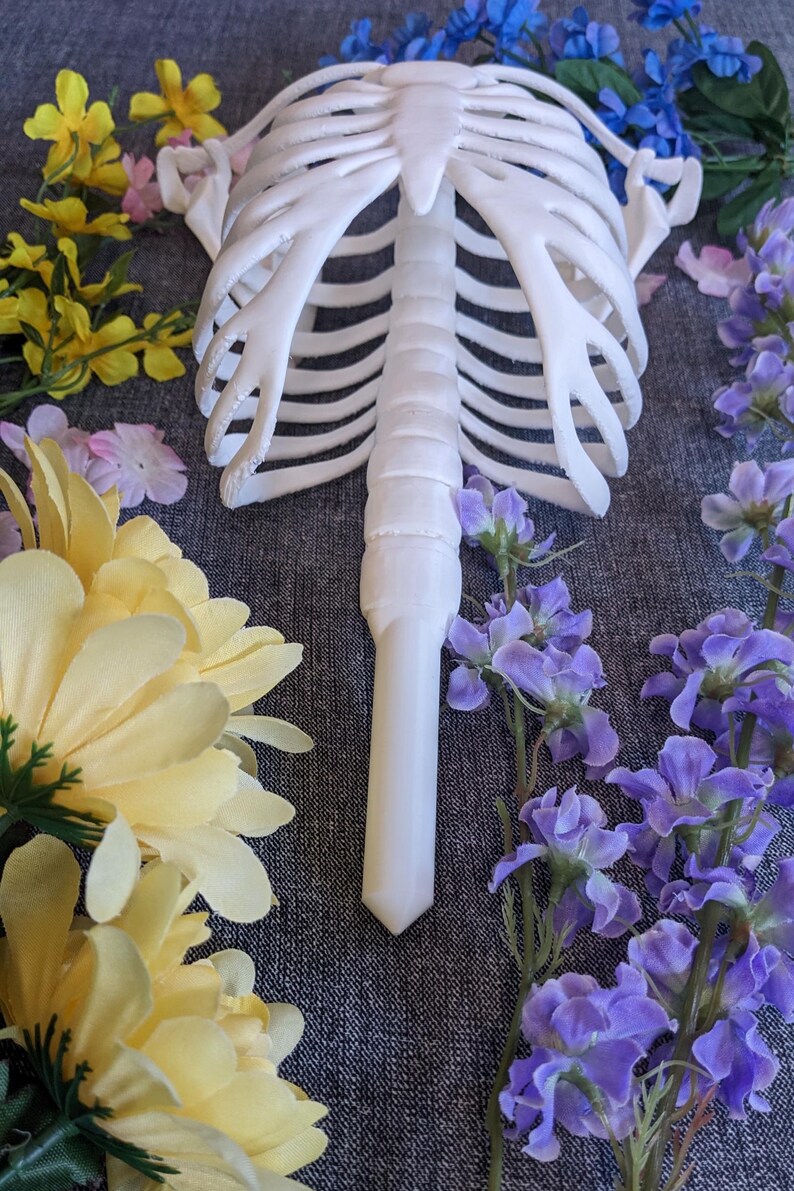 Ribcage Trellis W/ Shoulder Blades - Etsy