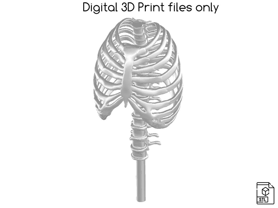 STL - Ribcage Trellis - Etsy