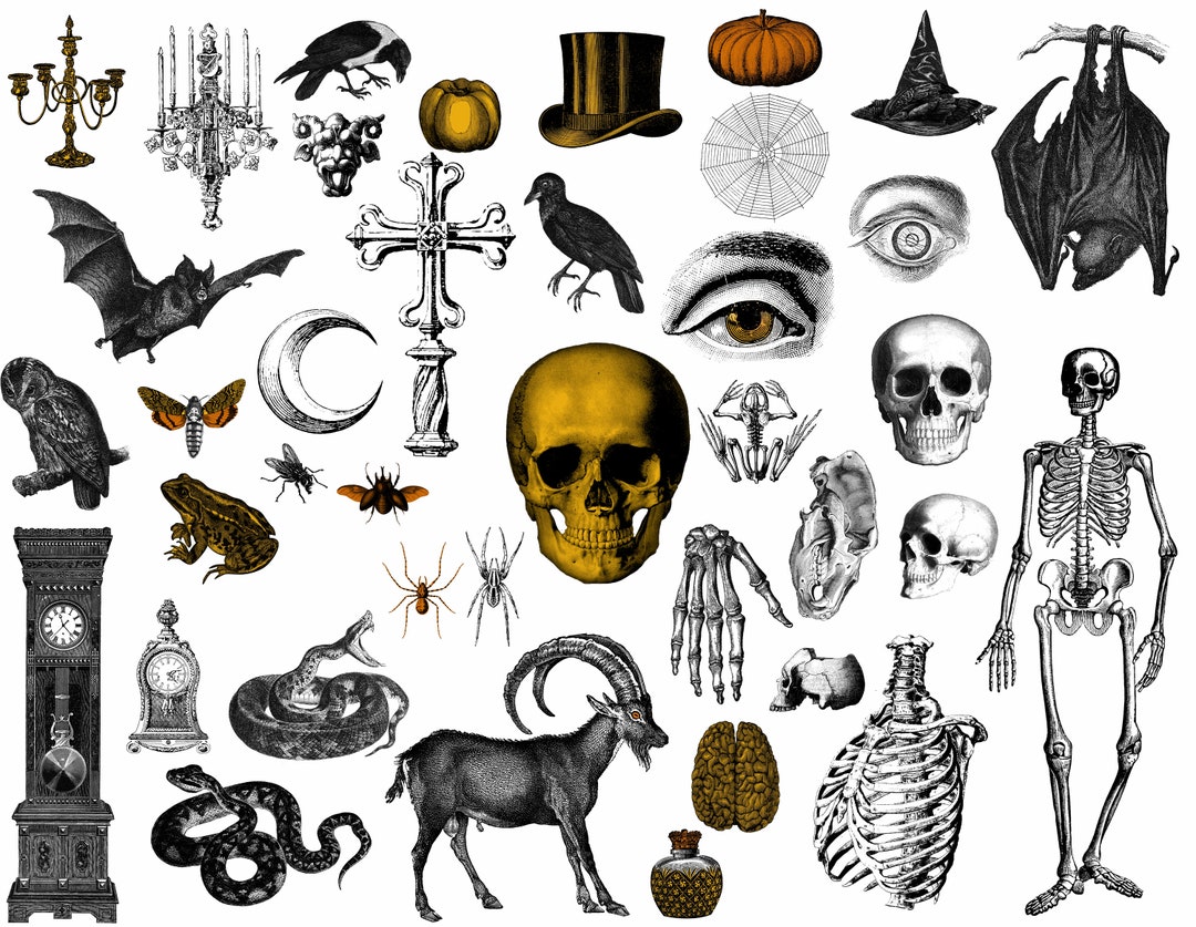 Halloween Doodles Clipart Digital Hand Drawn Sketched Skulls - Etsy