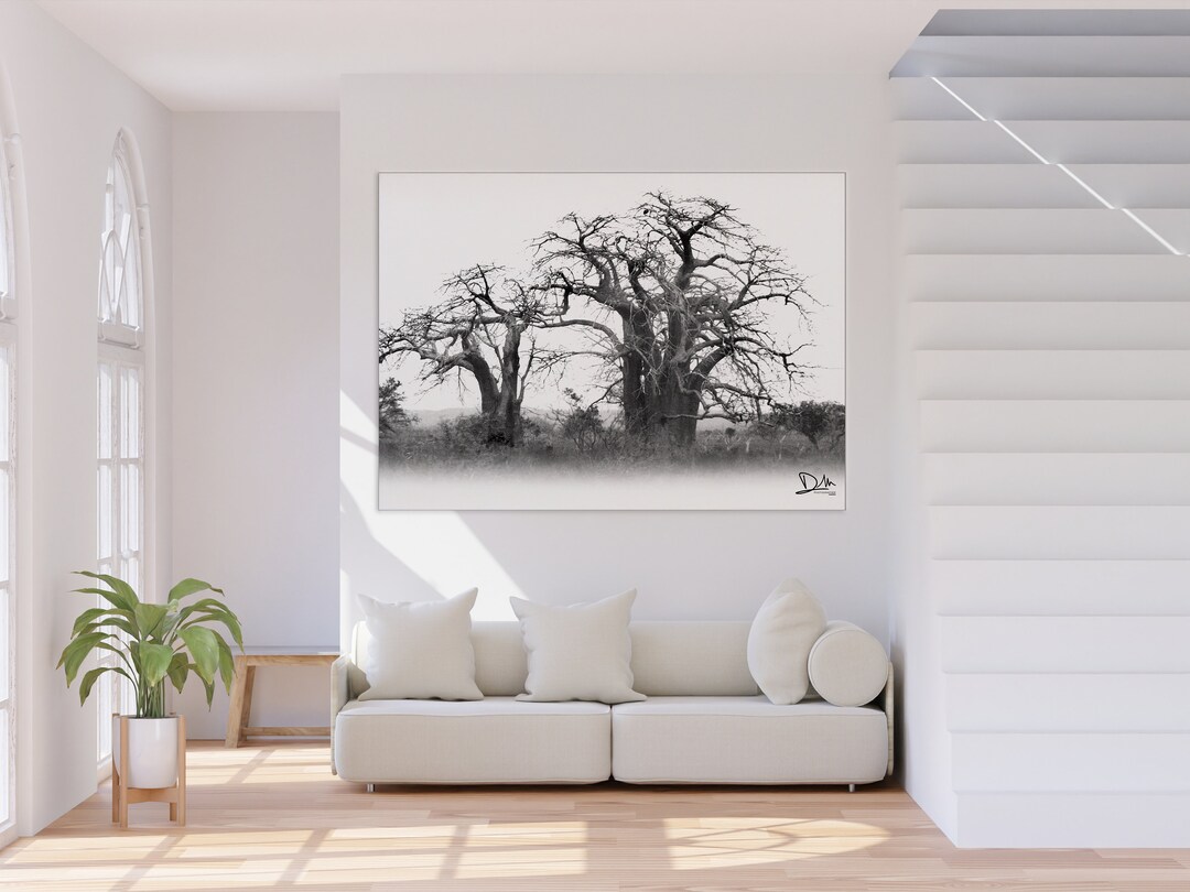 Black and White Baobab, Artwork, Poster, African Tree, African Poster ...