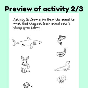Herbivore, Carnivore and Omnivore Animal Classification Posters and ...
