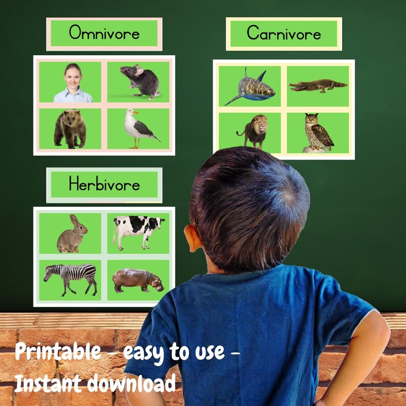 Herbivore, Carnivore and Omnivore Animal Classification Posters and ...