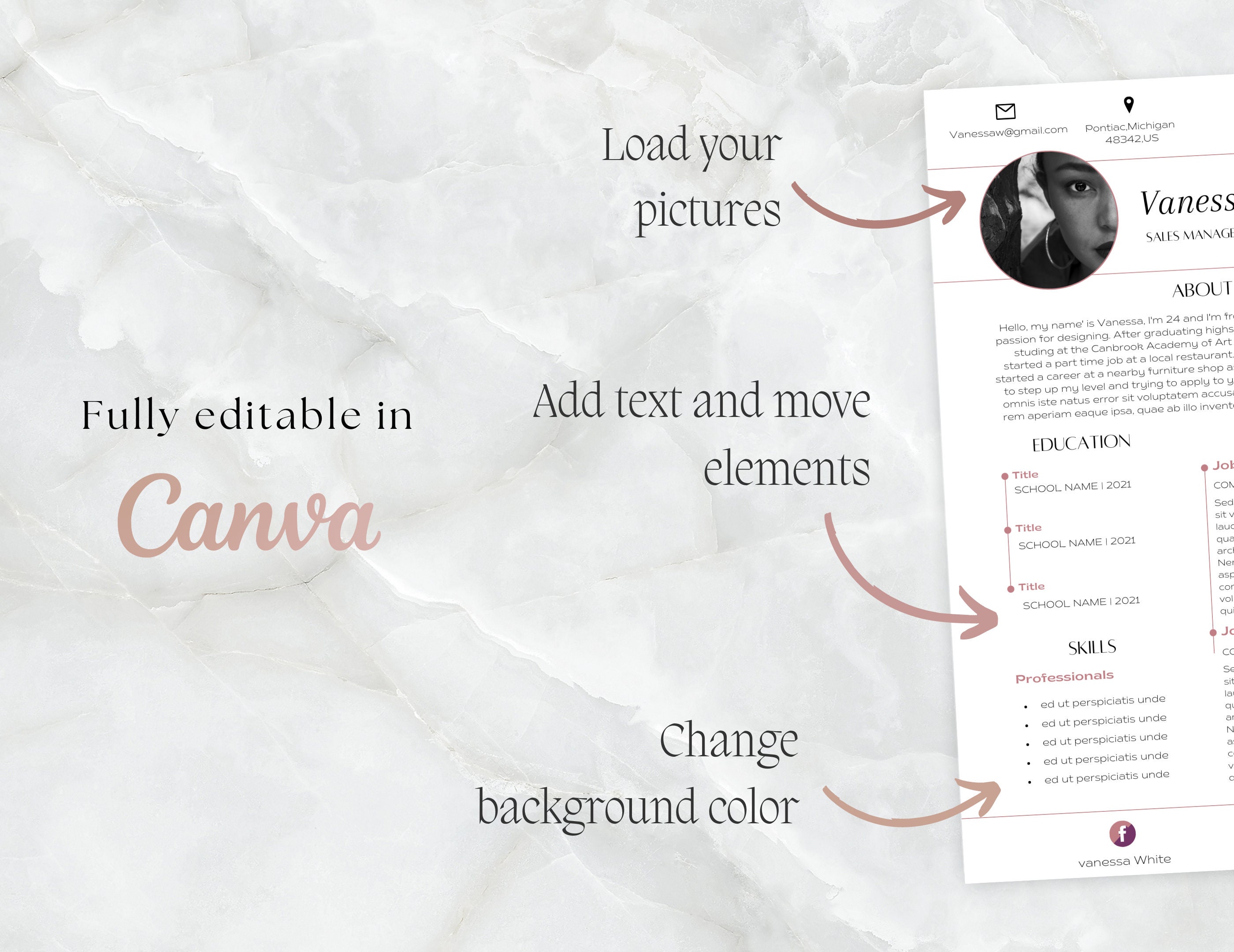Professional Resume Template , CV Template , 2 Pages Editable ...