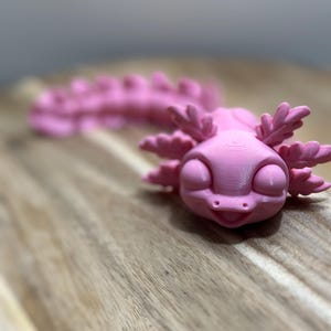 3D Printed Axolotl, Axolotl 3D Printed, Custom 3D Print, 3d Printed ...