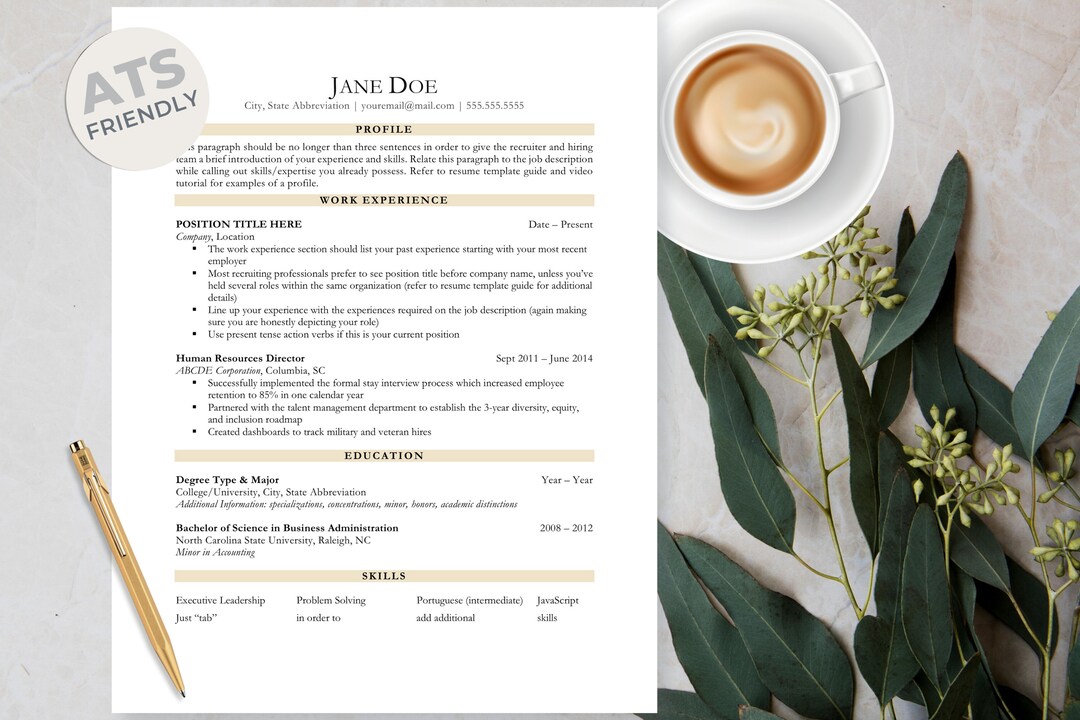 ATS Friendly Resume Template for Word and Google Docs, Simple Modern ...