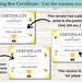 Spelling Bee Certificate Printable, Spelling Bee, Spelling Award ...