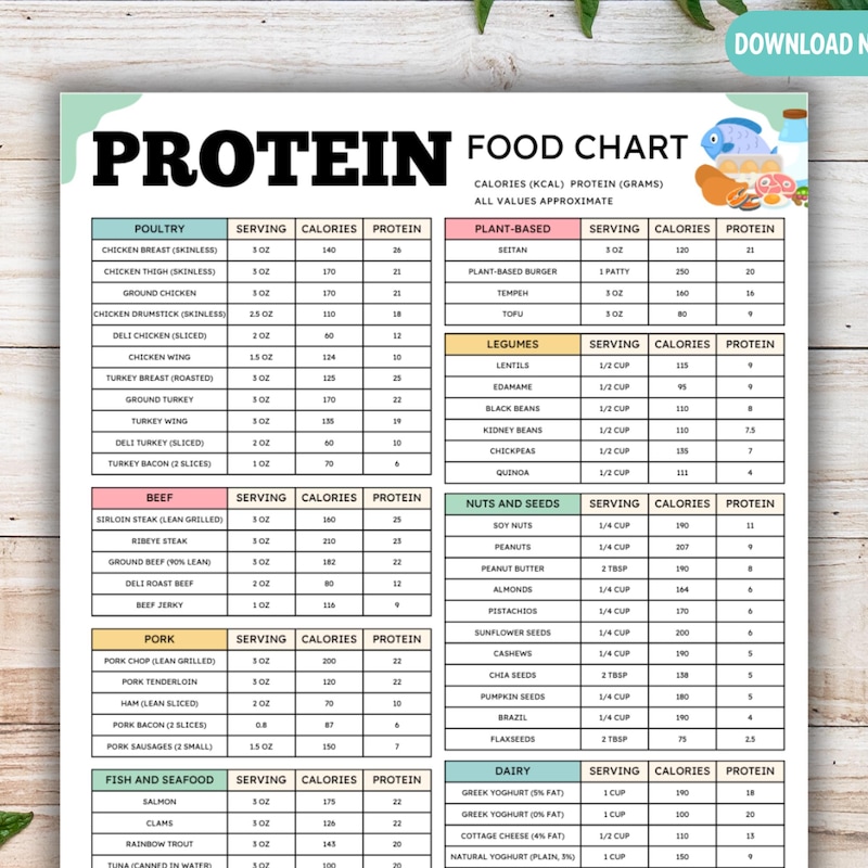Protein Plan Poster - Etsy