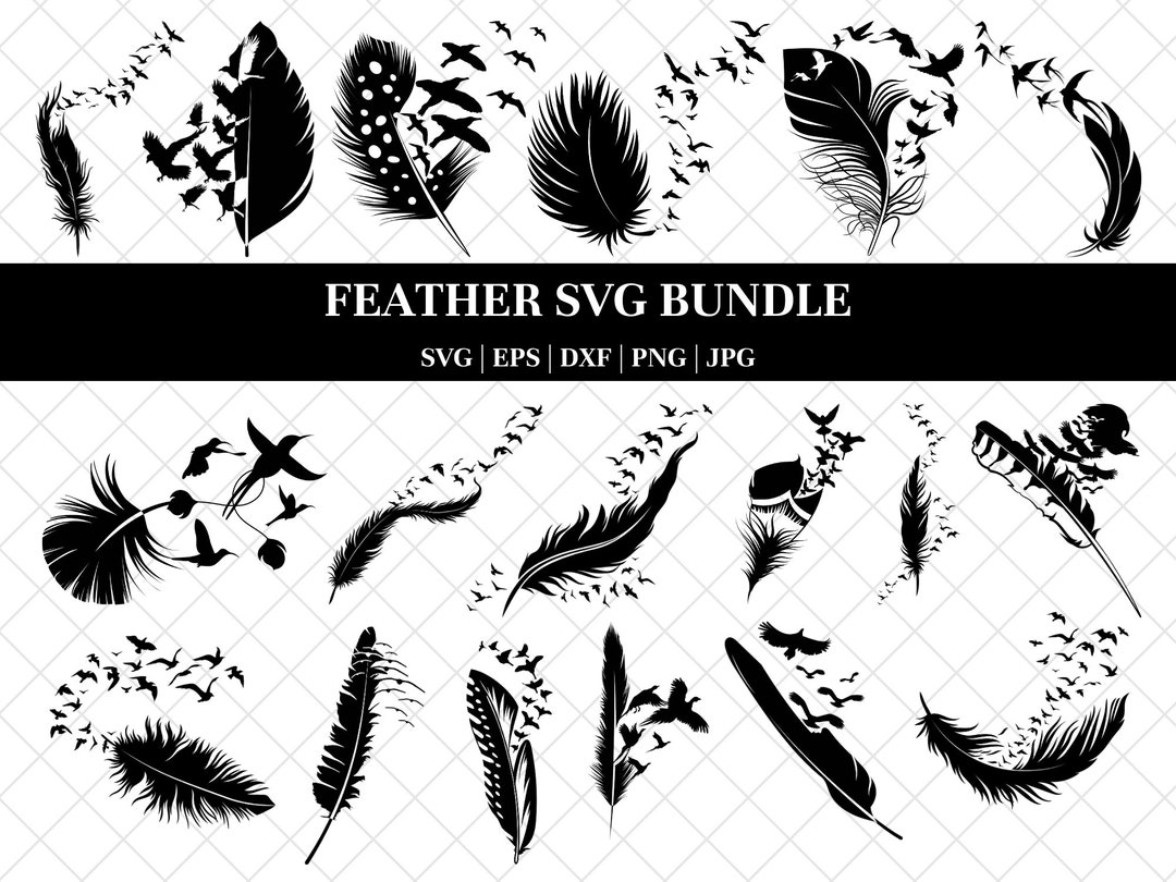 Feather Svg Bundle, Feather Birds Svg, Dxf, Png, Jpg, Feathers ...