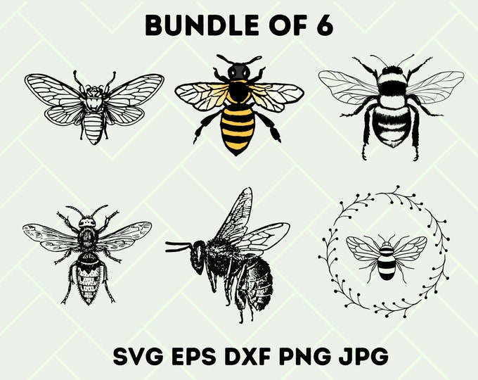 INSECT SVG, Butterfly Svg, Insect Clipart, Dragonfly Svg, Bug Svg ...