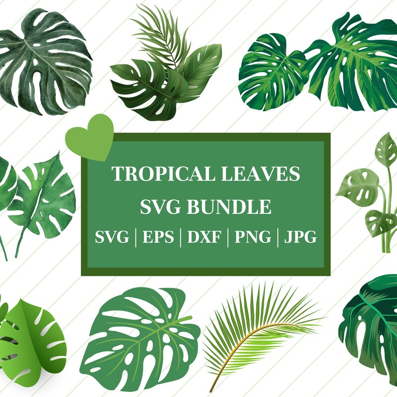 Leaves Svg - Etsy