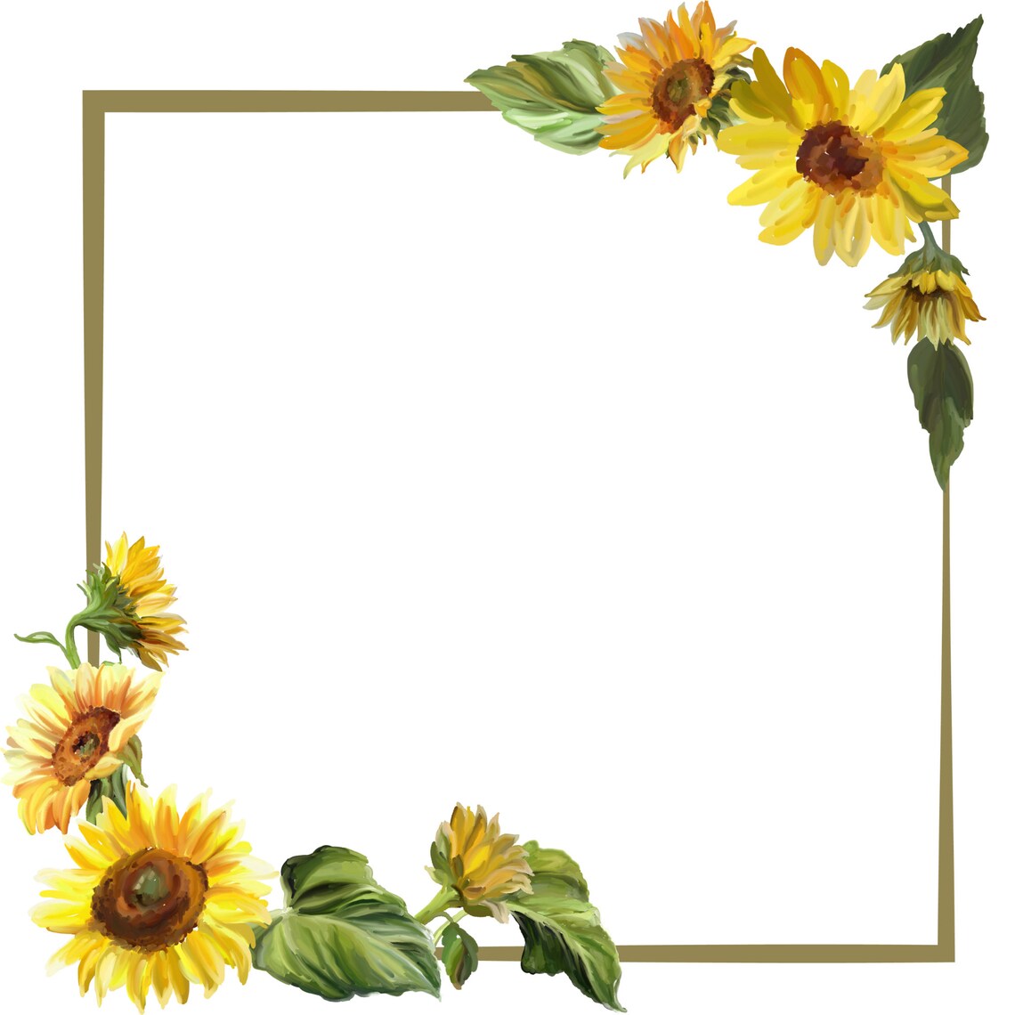 Sunflower Svg Bundle, Sunflower Frames Svg Bundle, Sunflower SVG ...