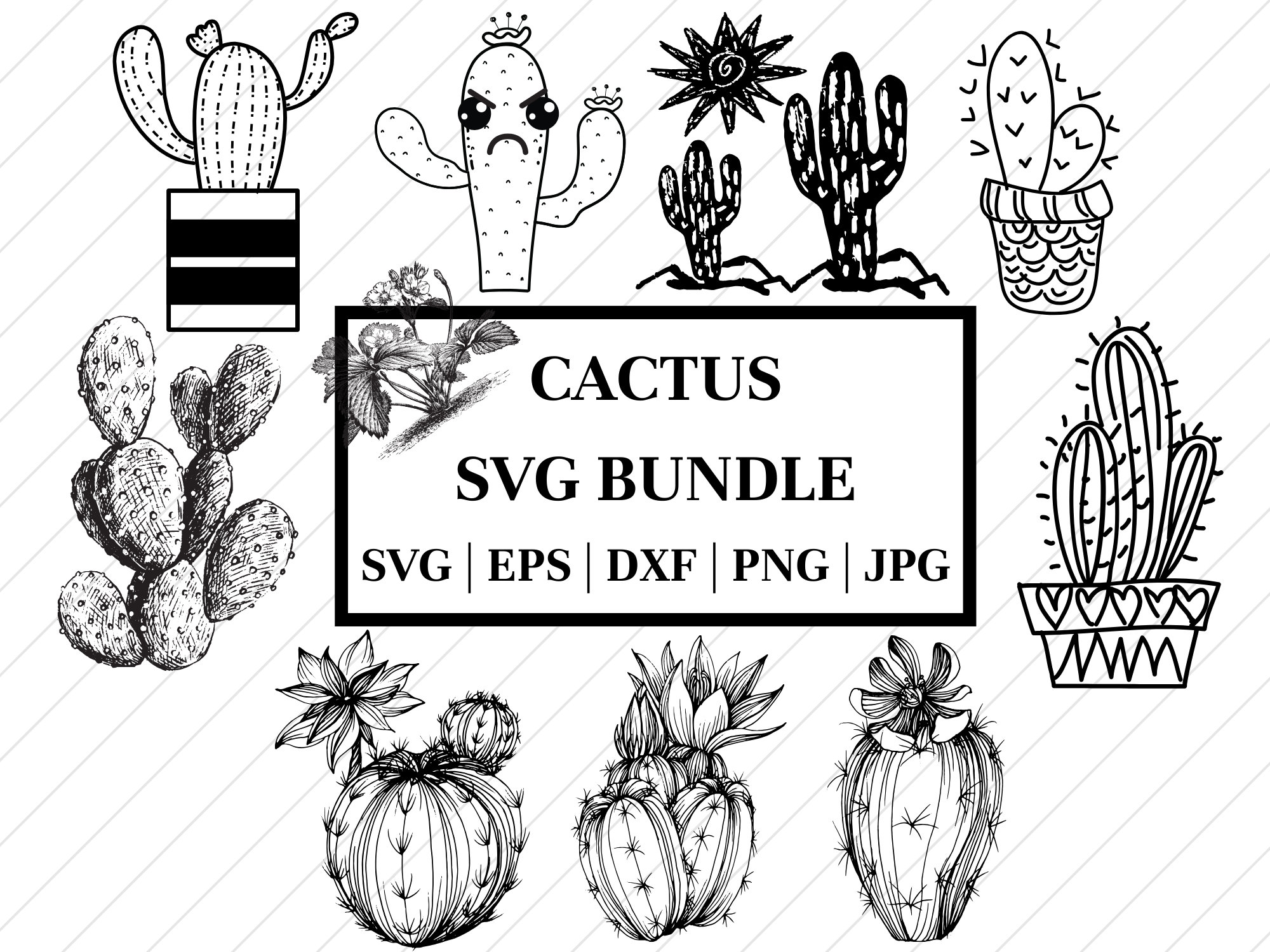 Cactus SVG Bundle Cactus Flower SVG File Succulent Png for Shirts Cacti ...