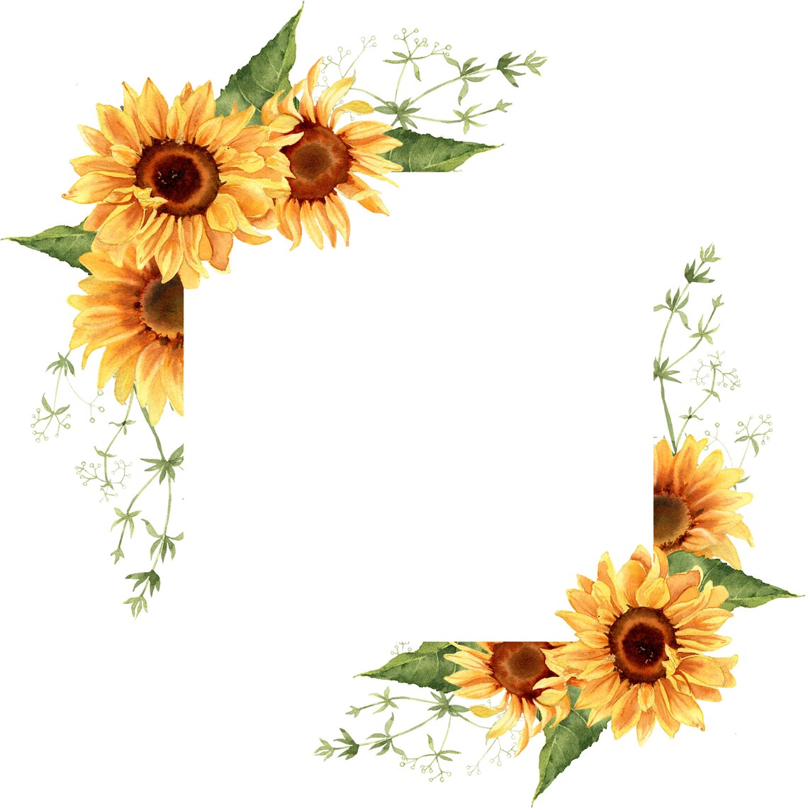 Sunflower Svg Bundle, Sunflower Frames Svg Bundle, Sunflower SVG ...