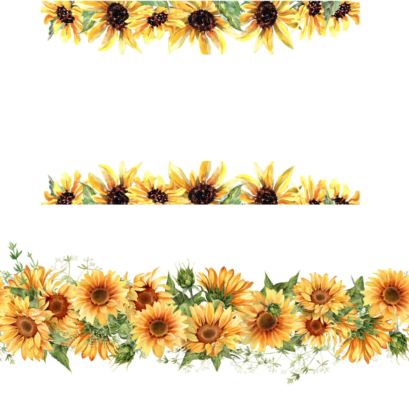 Sunflower Svg Bundle, Sunflower Frames Svg Bundle, Sunflower SVG ...