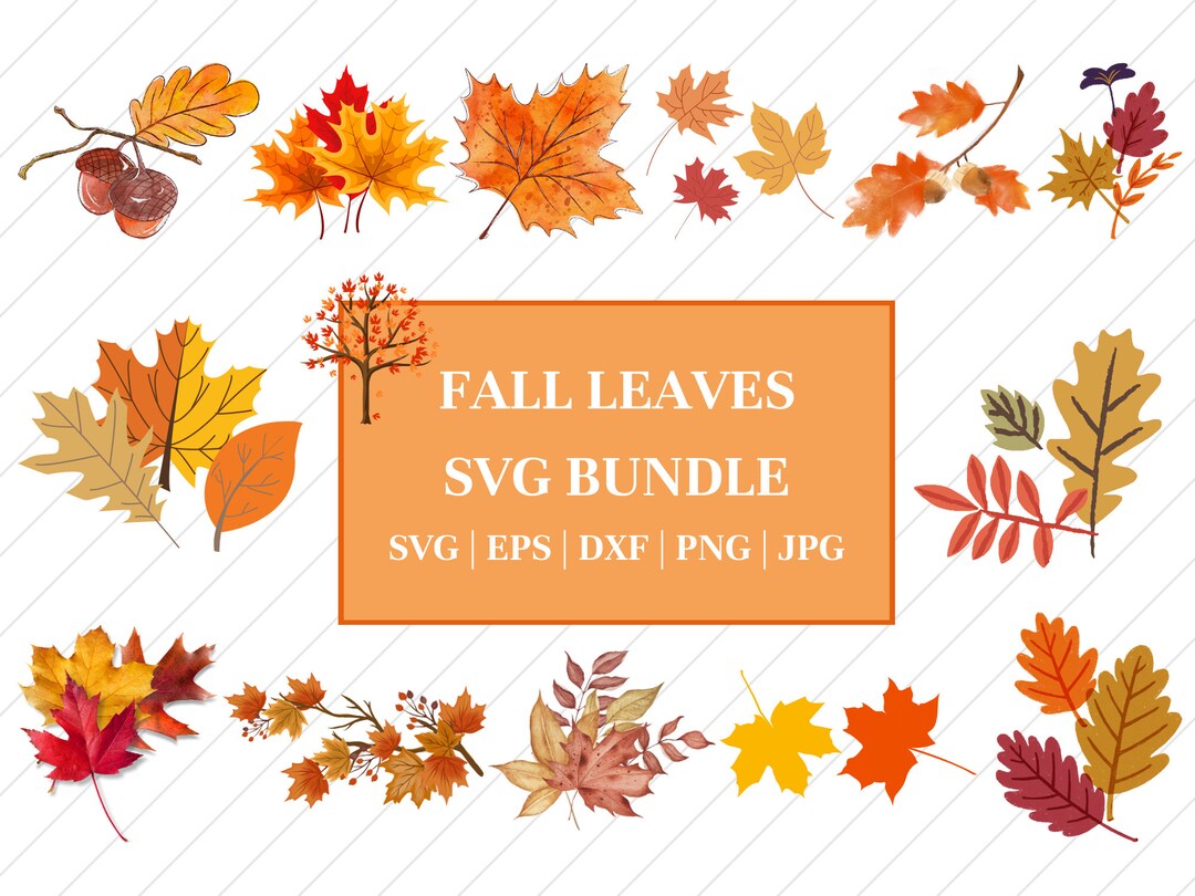 Fall Leaves Svg Bundle,fall Leaves Svg,fall Svg,fall Leaf Svg,autumn ...
