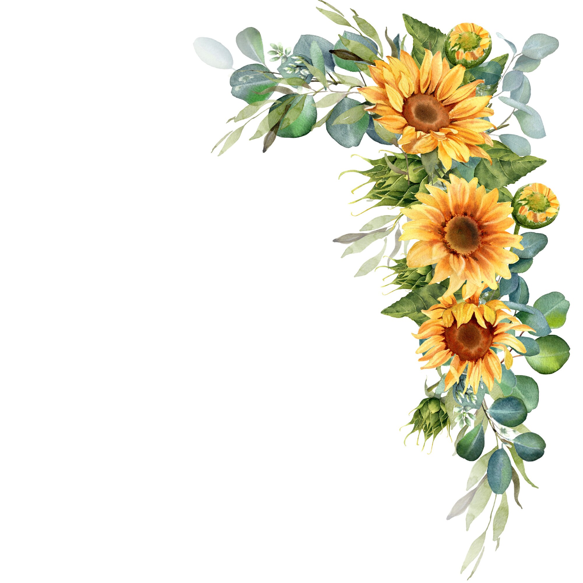 Sunflower Svg Bundle, Sunflower Frames Svg Bundle, Sunflower SVG ...