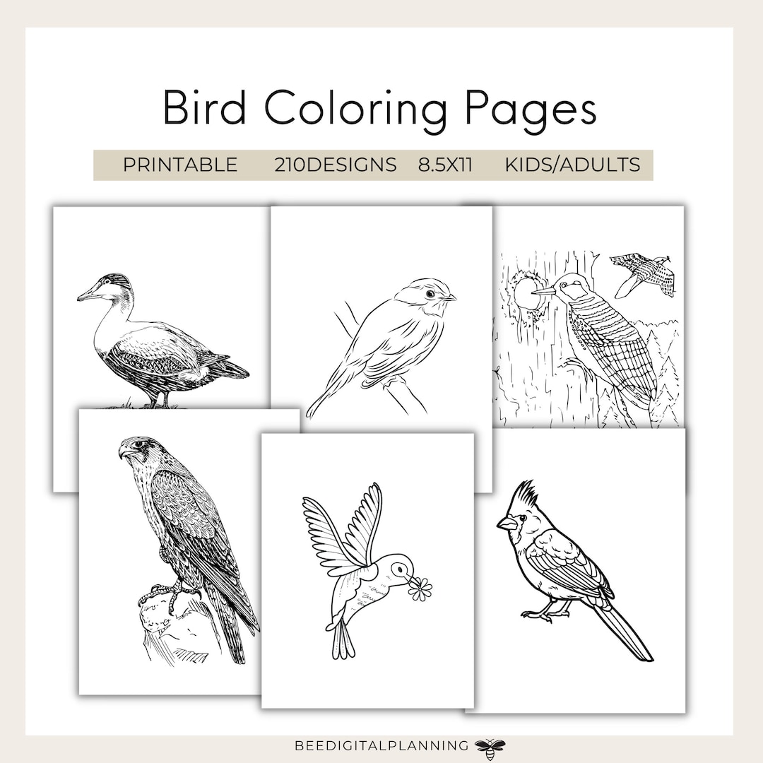 Printable Bird Wren Hawk Owl Duck Hummingbird Ibis Watching Coloring ...