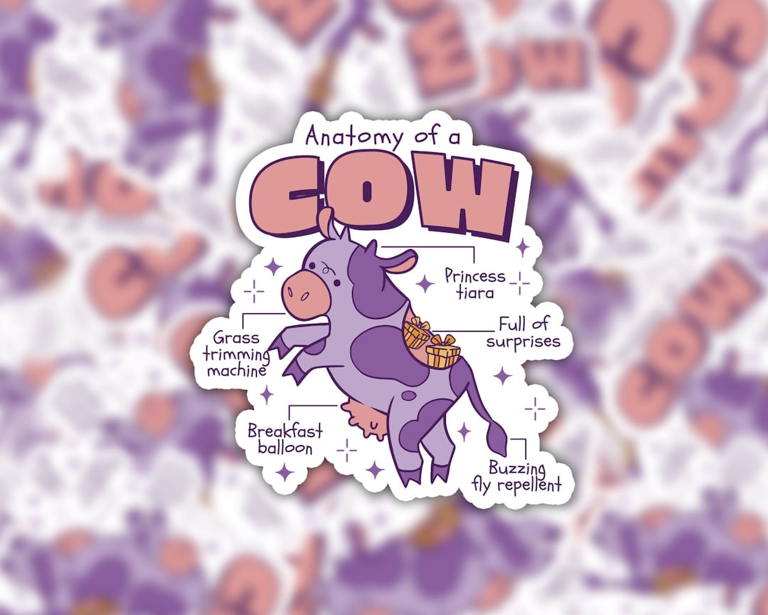 Anatomy of A Cow Vinyl Sticker, Funny Cow Sticker, Cute Cow Sticker ...