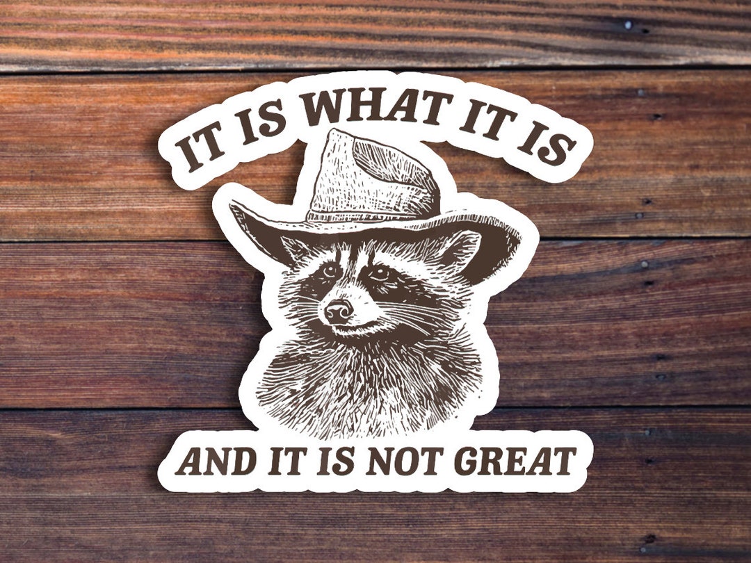 It is What It is Sticker, Funny Raccoon Meme Sticker Vintage Raccoon ...