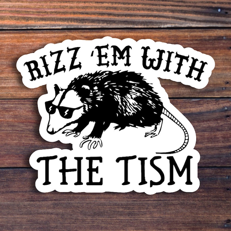 Rizz Em With the Tism - Etsy