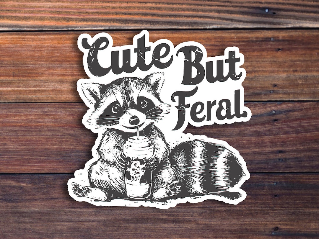 Cute but Feral Raccoon Vinyl Sticker, Sarcastic Snarky Funny Sticker ...