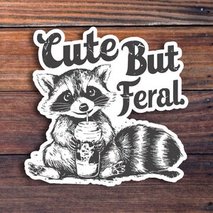 Cute but Feral Raccoon Vinyl Sticker, Sarcastic Snarky Funny Sticker ...