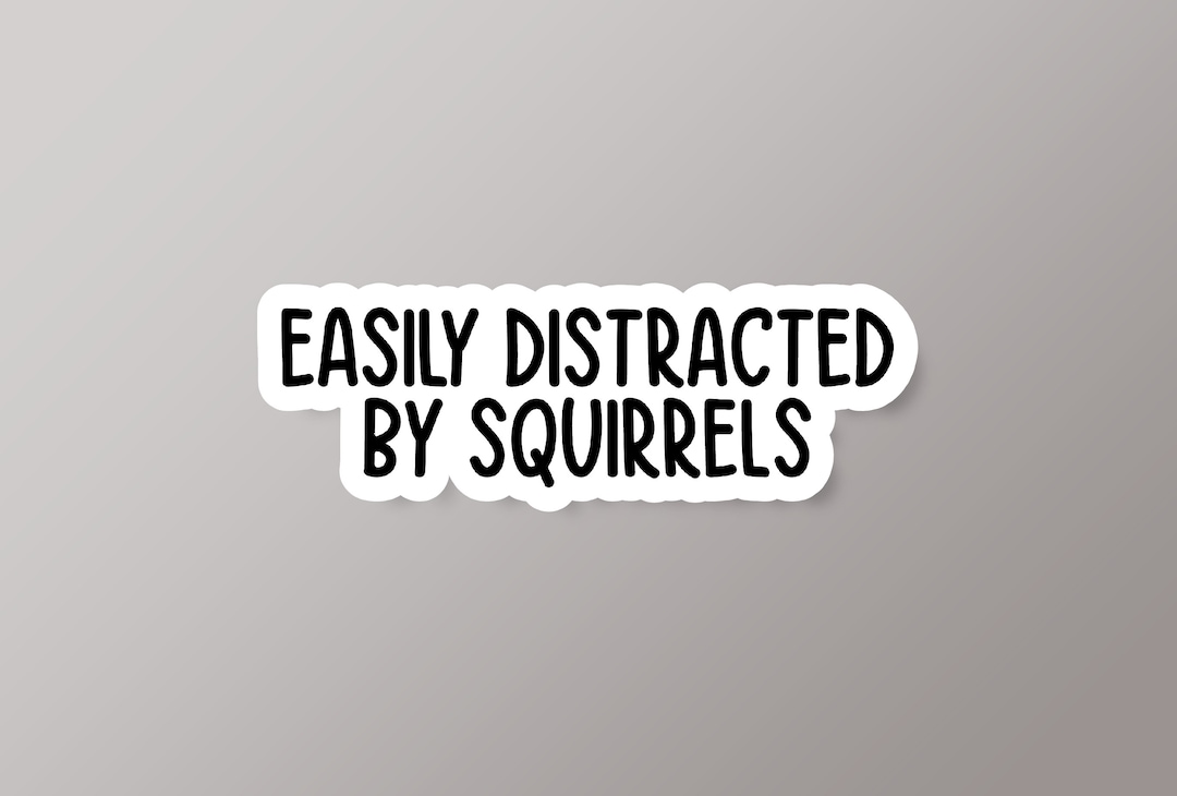 Easily Distracted by Squirrels Sticker Funny Sticker - Etsy