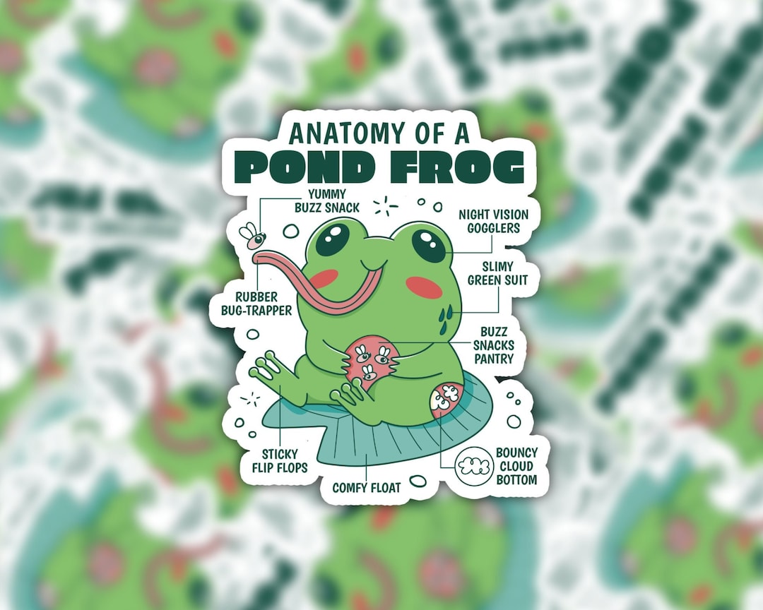 Anatomy of A Pond Frog Sticker, Frog Sticker, Funny Frog Stickers, Cute ...