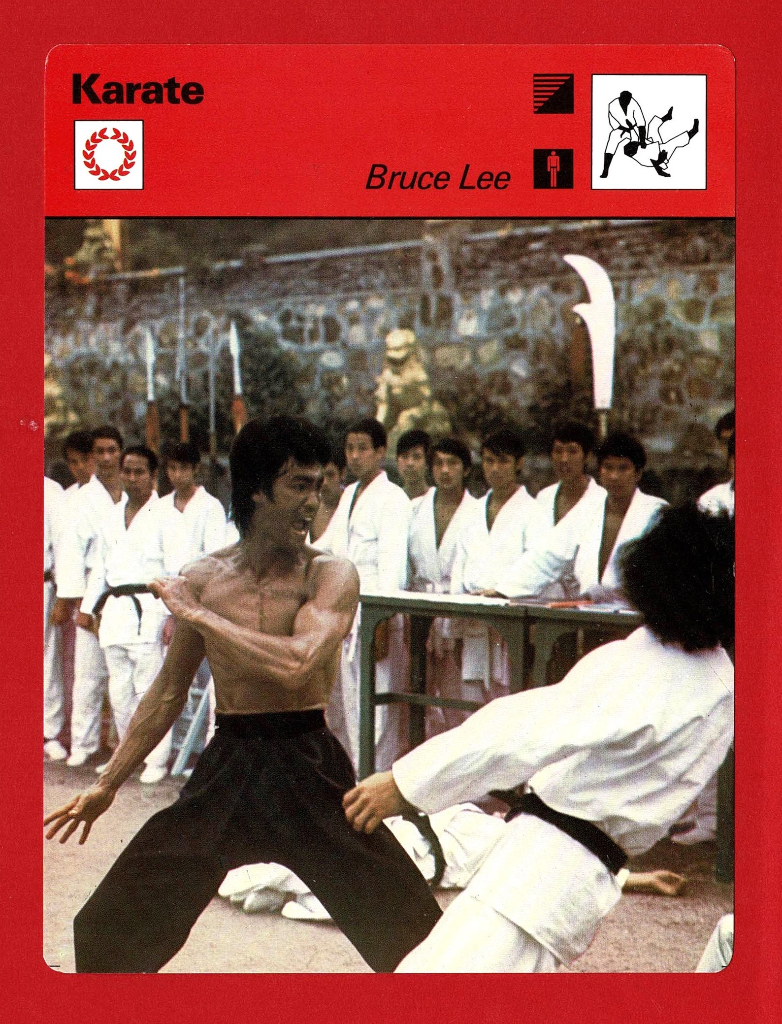 MARTIAL ARTS CARDS Bruce Lee Karate. Japanese Sumo. French - Etsy