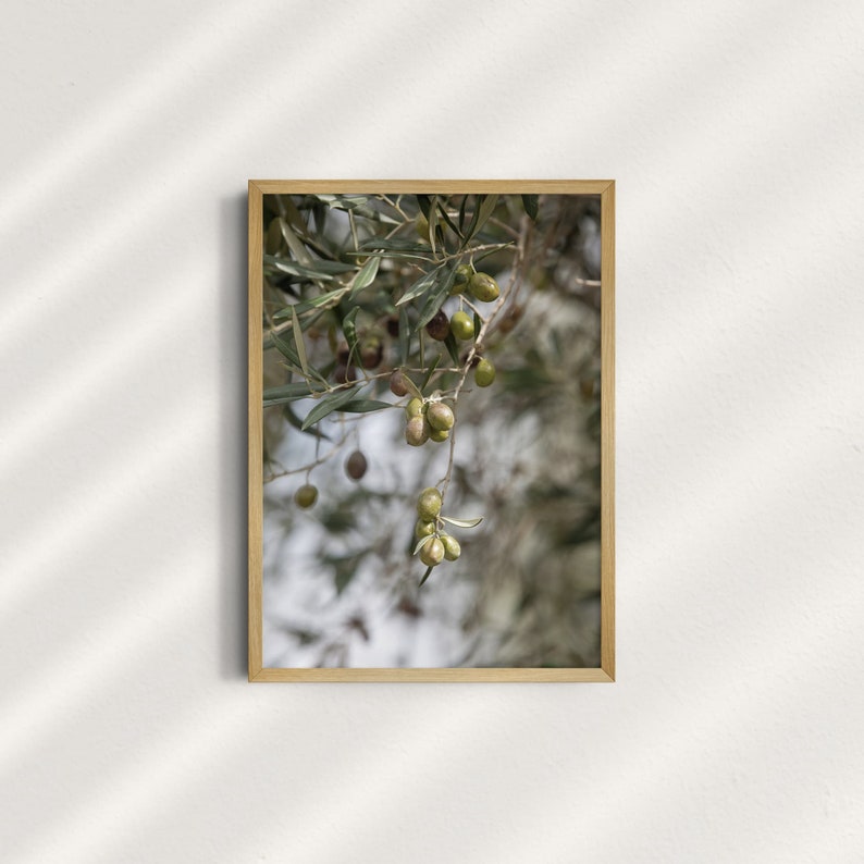 Set of 3 Olive Branch Pictures Printable Wall Art - Etsy