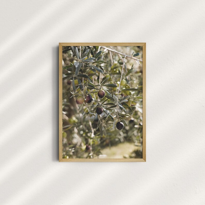 Set of 3 Olive Branch Pictures Printable Wall Art - Etsy
