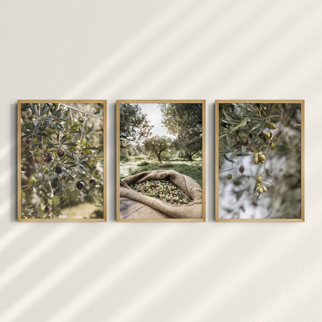 Set of 3 Olive Branch Pictures Printable Wall Art - Etsy