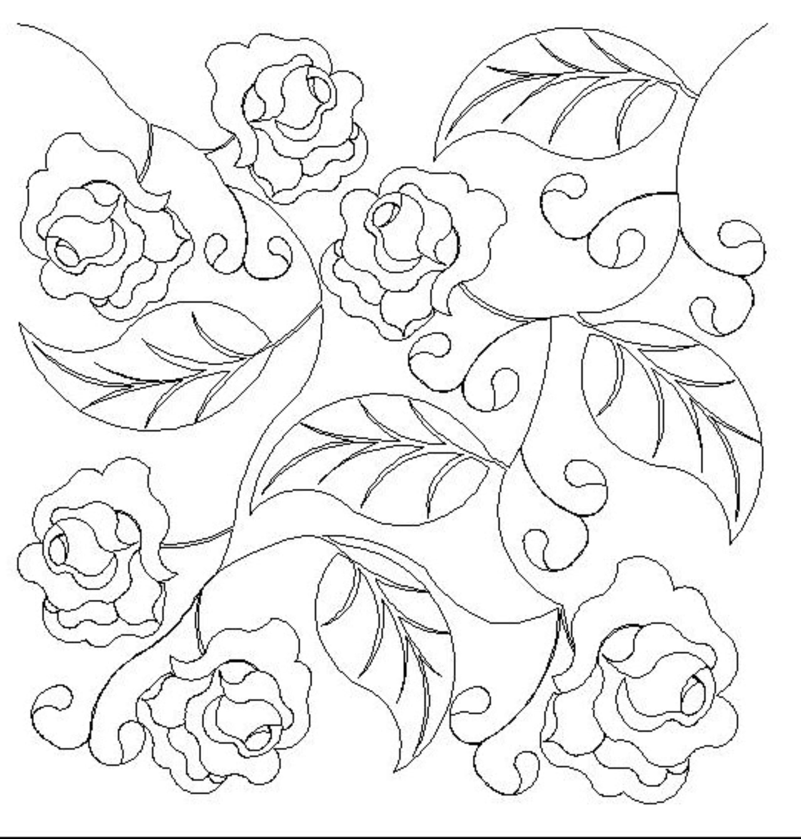 2416 Rose Border Panto - Etsy