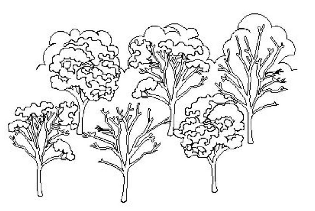 2172 Tree 1 Panto - Etsy