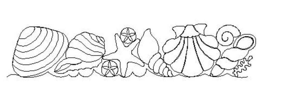 2063 Seashell Border - Etsy