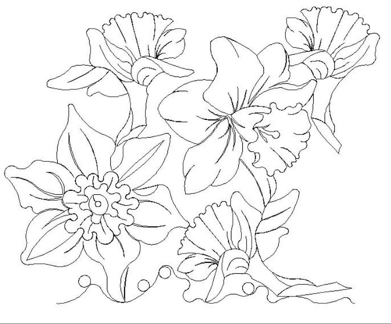 1237 Daffodil Border - Etsy