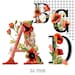 Faux Embroidery PNG Alphabet Bundle, Poppy Flowers Alphabets PNG ...
